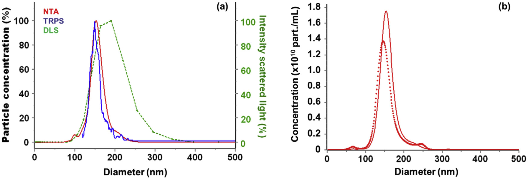 Biophysical virus particle specific characterization to sharpen the ...